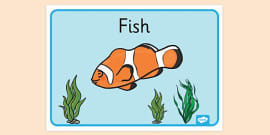 Printable Fish Display Poster | Primary Resources