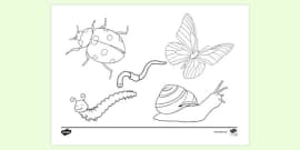 Bugs in a Jar Counting Resource - KS1 - Primary Resource