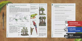 GCSE AQA Tropical Rainforest MCQ Bundle (teacher made)