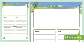 All About Collage Fact File Template - Twinkl - KS2 - Twinkl