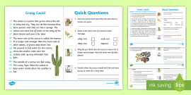 Measuring Plants Worksheet and Growth Pack | Twinkl Resource