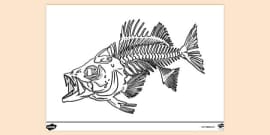 FREE! - Mackerel Fish Colouring Sheet | Colouring Sheets