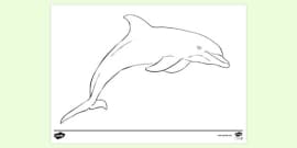 FREE! - Baby Shark Colouring Page | Colouring Sheets