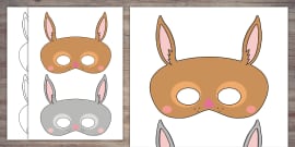 What are Rabbits? - Answered - Twinkl Teaching Wiki - Twinkl