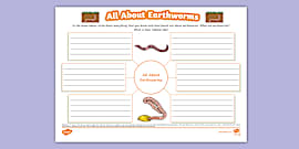 All About Earthworms Fact Cards (teacher made) - Twinkl