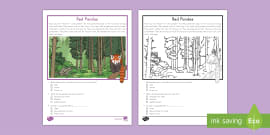 Red Panda Fact File Template (Hecho por educadores) - Twinkl