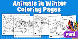 Arctic Animals Coloring Page