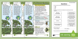 Rainforest Deforestation | Reading Comprehension Activity