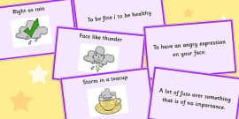 Animal Idioms Matching Cards (Hecho por educadores) - Twinkl