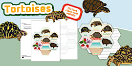 Robin Writing Template - Twinkl Writing