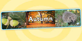 Four Seasons Display Posters - seasons, weather, posters