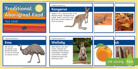 Traditional Aboriginal Foods Venn Diagram Worksheet