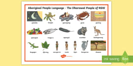 Dharawal Aboriginal Language Word Cards - Australian Curriculum