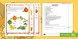 Life Cycle of a Pumpkin Activity Pack
