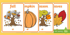 Fall Leaves Color Match Activity - Teaching Resource