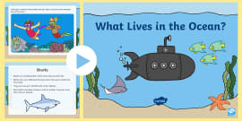 Sea Creatures Factfile Worksheets (Under the Sea) - sea, animal, fact file