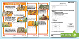 KS2 Prehistoric Times: Focused Reading Skills Comprehension Pack