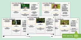 Rainforest Deforestation | Reading Comprehension Activity