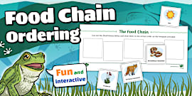 Coral Reef Food Chain Challenge Worksheet