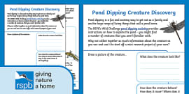 KS2 What Is a Pond? Information PowerPoint (teacher made)