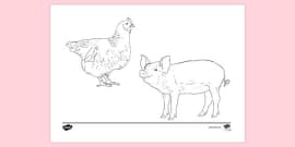 FREE! - Chicken Wrap Colouring Sheet | Colouring Page | Art | Twinkl