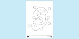 FREE! - Inside the Ear Colouring Sheet | Colouring Pages