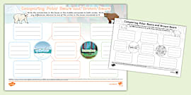 Rivers Comparison Mind Map - Twinkl Geography (teacher made)