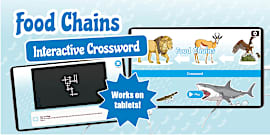 Food Chains Interactive Multiple Choice Quiz