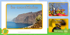 Ficha de clasificar: Ropa de invierno y de verano - Twinkl