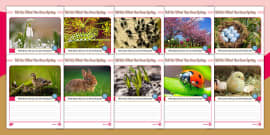 Printable Spring Writing Prompt for Kids | Twinkl USA