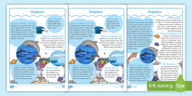 Dolphins Word Search (teacher made) - Twinkl