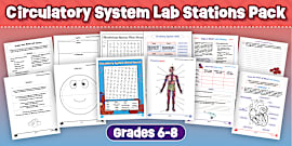 Hands-On Label the Circulatory System Lab Station