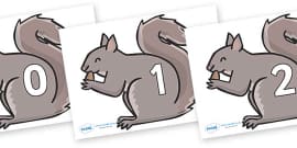 Numbers 0-31 on Red Squirrels (teacher made) - Twinkl