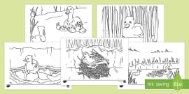 What is the story of The Ugly Duckling? - Twinkl