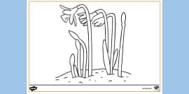 FREE! - Spring Onion Colouring Page (teacher made)