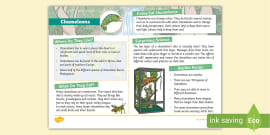 Rainforest and Desert Animals Habitat Sorting Activity