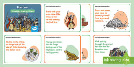 Insects and Bugs Gross Motor Activity Cards - Twinkl
