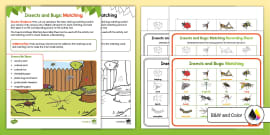 Arctic Animals Sensory Bin Matching Activity Mat - Twinkl