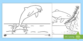 Sharks Colouring Pages | Primary Resources (teacher made)