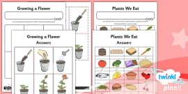 Science: Plants: How Do Plants Grow Year 1 Lesson Pack 6