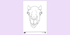 Camel Mask (Hecho por educadores) - Twinkl