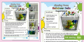 Fruit Candy Rainbow Color Mixing Visual Science Experiment for Special