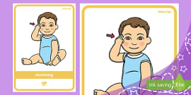 Baby Sign Language Poster (Cow) (teacher made) - Twinkl