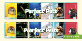 Pets Display Banner (Teacher-Made) - Twinkl