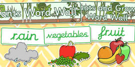 Growth and Changes in Animals Word Wall (teacher made)