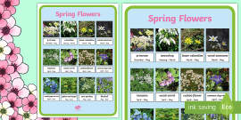 Spring Flowers Display Lettering (teacher made) - Twinkl