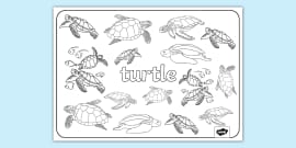 Turtle Colouring Sheet | Colouring Sheets (teacher made)