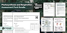 Anaerobic Respiration and Fermentation Lesson Pack | Beyond