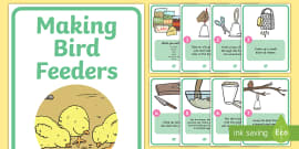 KS1 British Birds and their Eggs Matching Activity