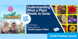 What Do Plants Need to Grow PowerPoint - Science Resource